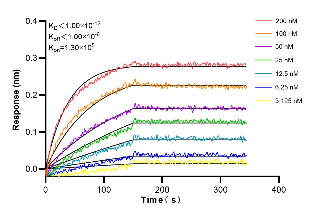 FceR1a antibody (98289-1-RR) | Proteintech