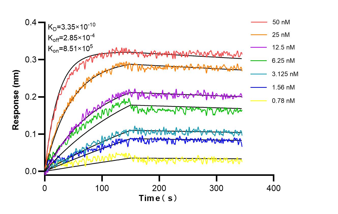 CD25/IL-2RA antibody (98545-2-RR) | Proteintech