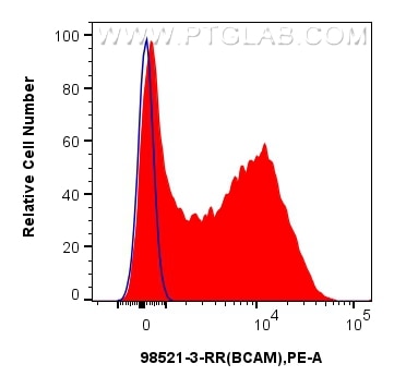 BCAM antibody (98521-3-RR) | Proteintech
