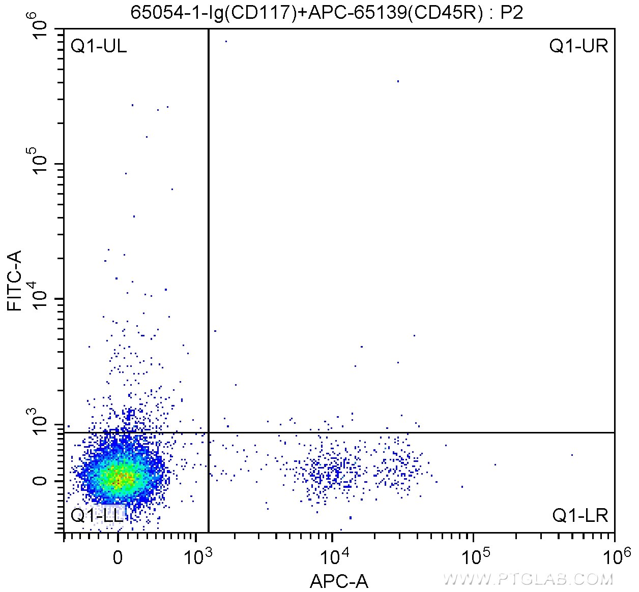 CD117 Rat Monoclonal antibody - United Bio Research