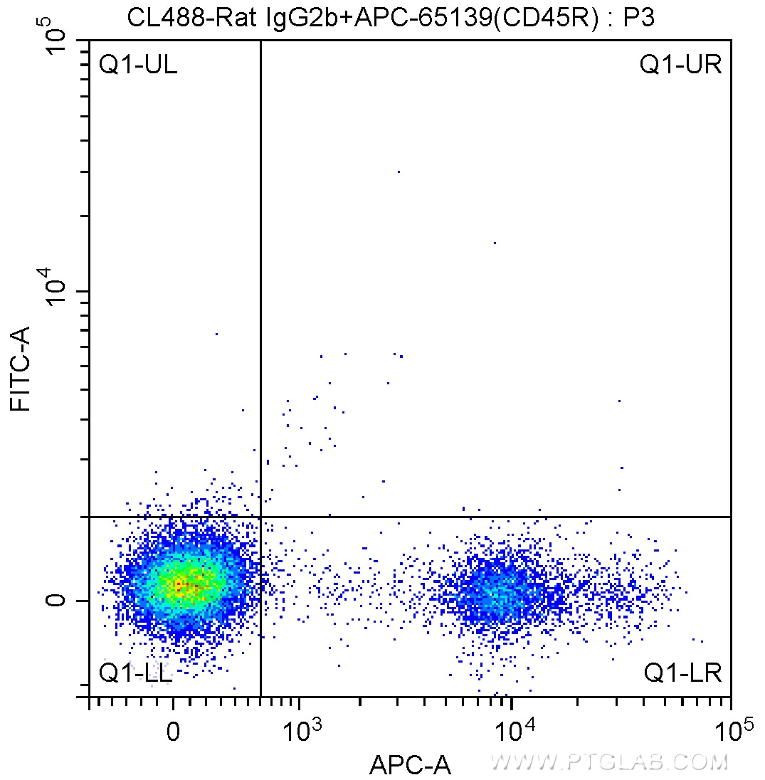 CD117 Antibody CL488-65054 | Proteintech