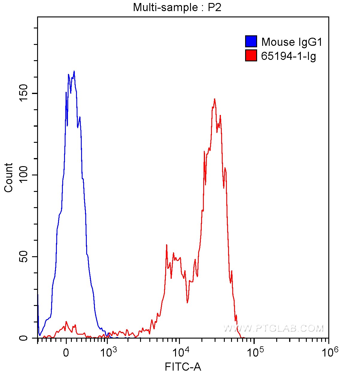 CD11a Antibody 65194-1-Ig | Proteintech