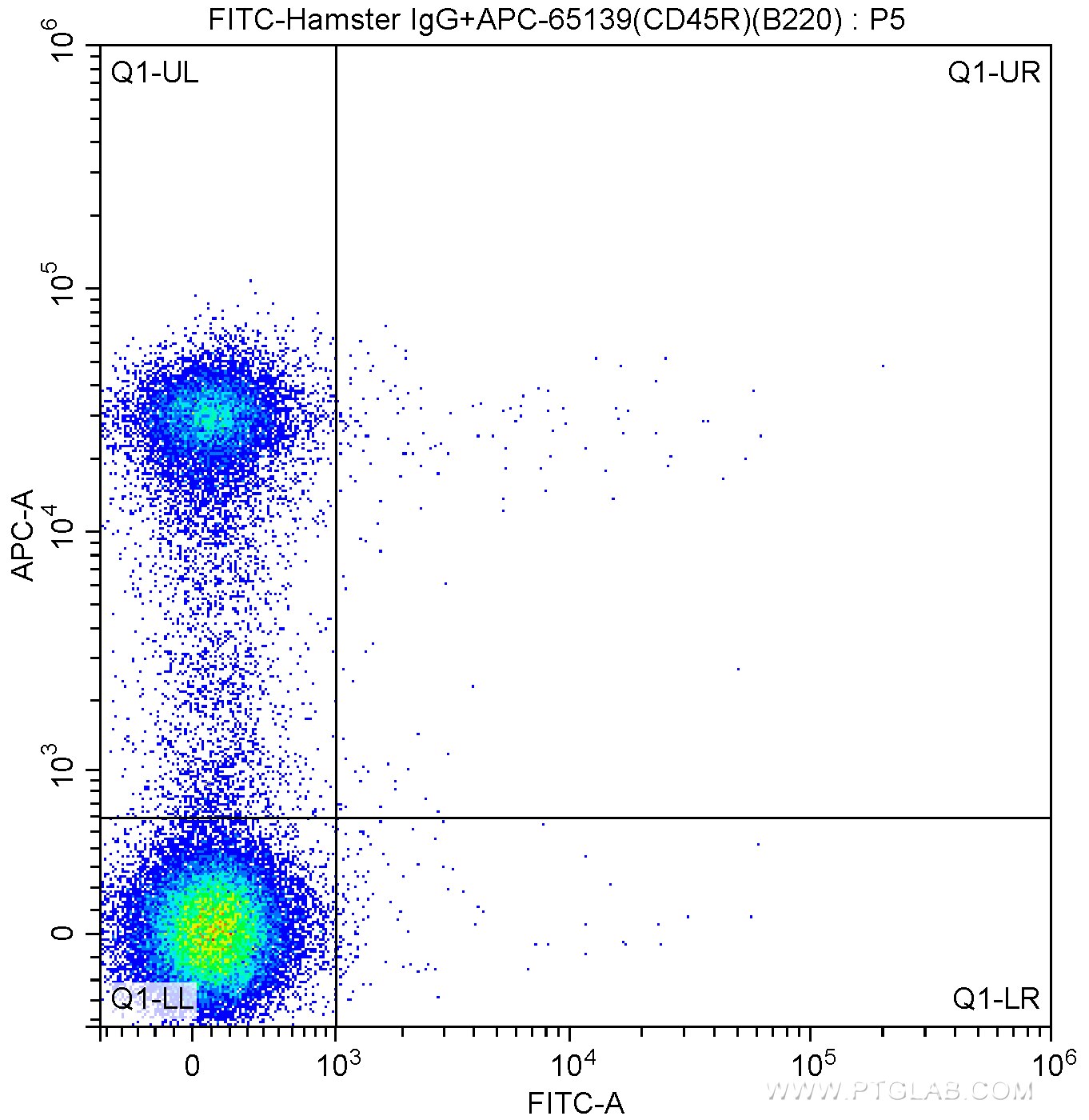 FITC Plus CD11c Armenian Hamster Monoclonal antibody - United Bio Research