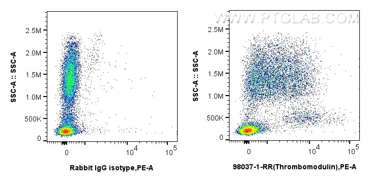 CD141/Thrombomodulin antibody (98037-1-RR) | Proteintech