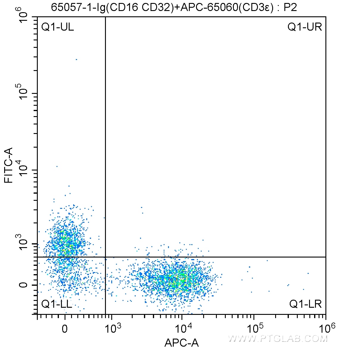 Results for "fluorescent antibodies for Mast cells" | Proteintech Group