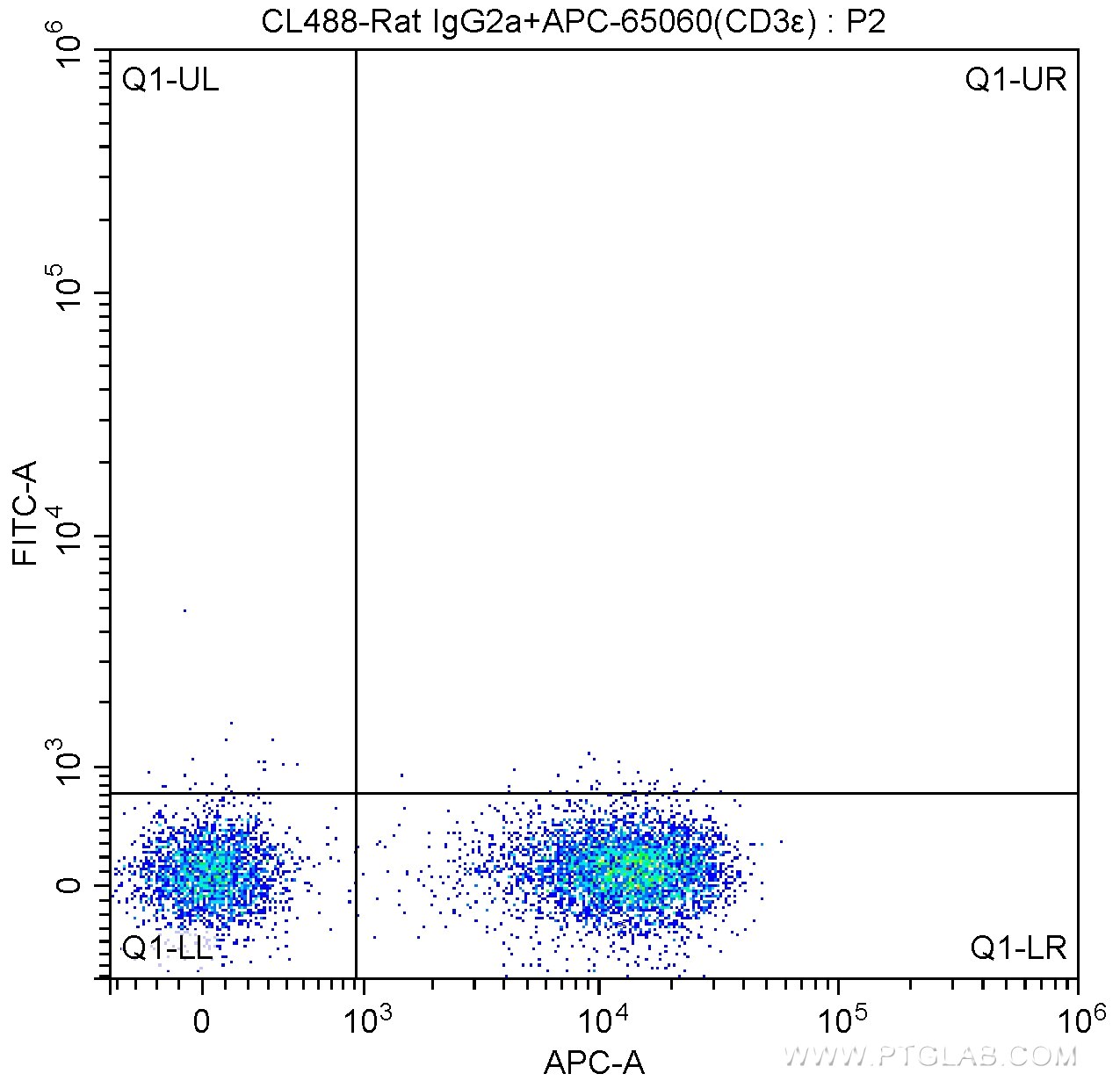 CoraLite® Plus 488 CD16/32 Rat Monoclonal antibody - United Bio Research