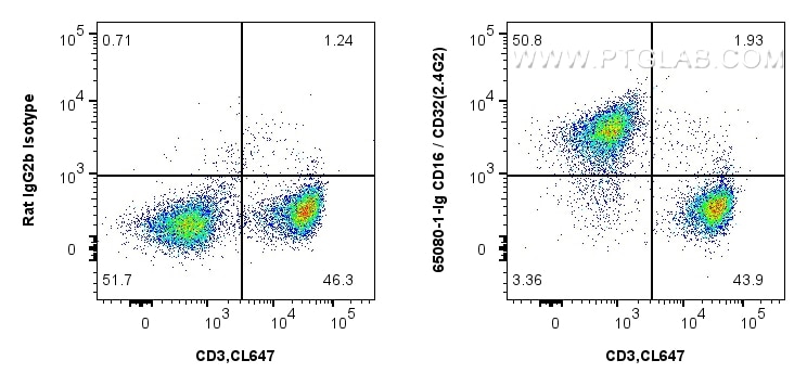 CD16 / CD32 antibody (65080-1-Ig) | Proteintech