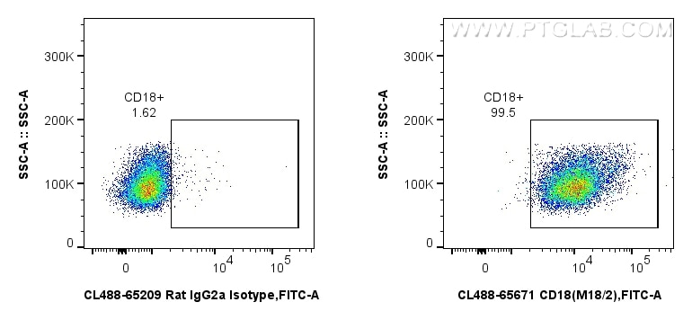 CD18 antibody (CL488-65671) | Proteintech