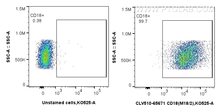 CD18 antibody (CLV510-65671) | Proteintech
