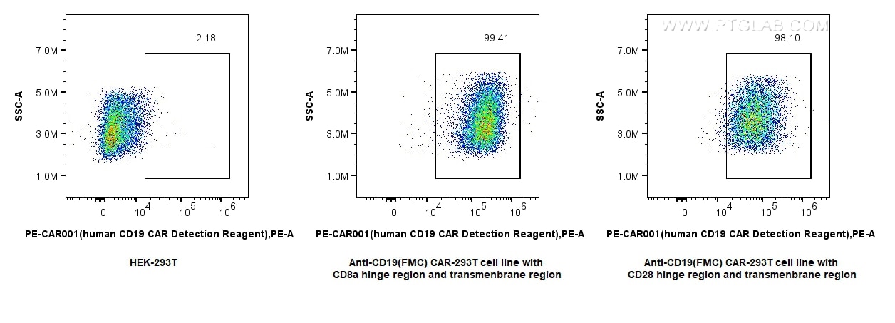 Proteintech CD19 endotoxin-free recombinant protein, human cell ...