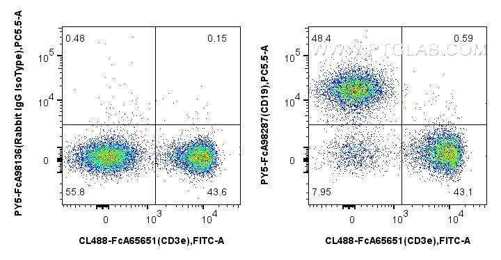 CD19 antibody (PY5-FcA98287) | Proteintech