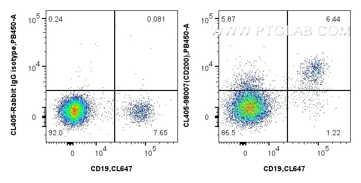 CD200 antibody (CL405-98007) | Proteintech