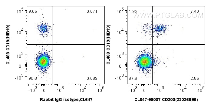 CD200 antibody (CL647-98007) | Proteintech