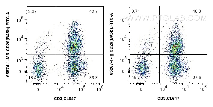 CD26 antibody (65574-1-MR) | Proteintech