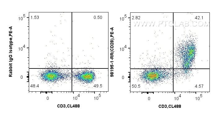 CD28 antibody (98195-1-RR) | Proteintech