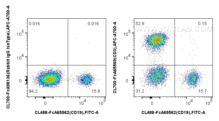 CD3 antibody (CL700-FcA65569) | Proteintech