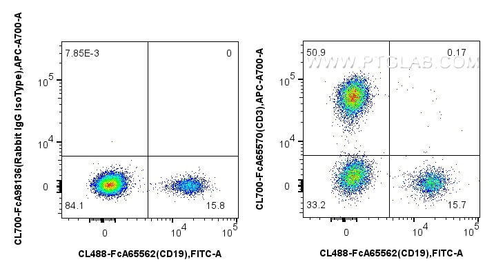 CD3 antibody (CL700-FcA65570) | Proteintech