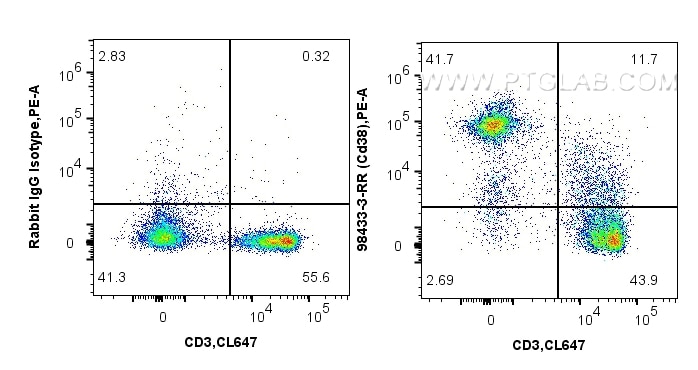 CD38 antibody (98433-3-RR) | Proteintech