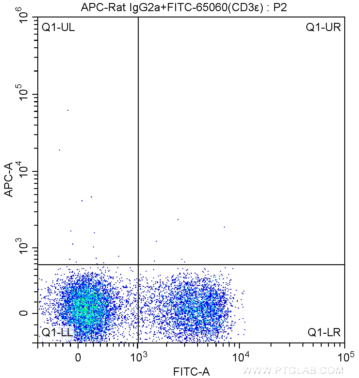 CD38 antibody (APC-65059) | Proteintech
