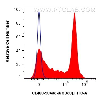 CD38 antibody (CL488-98433-3) | Proteintech