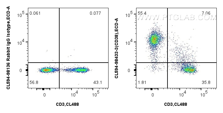 CD38 antibody (CL594-98433-3) | Proteintech