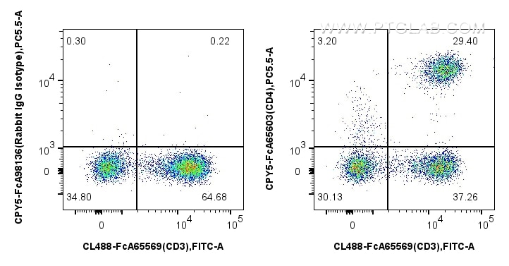 CD4 antibody (CPY5-FcA65603) | Proteintech