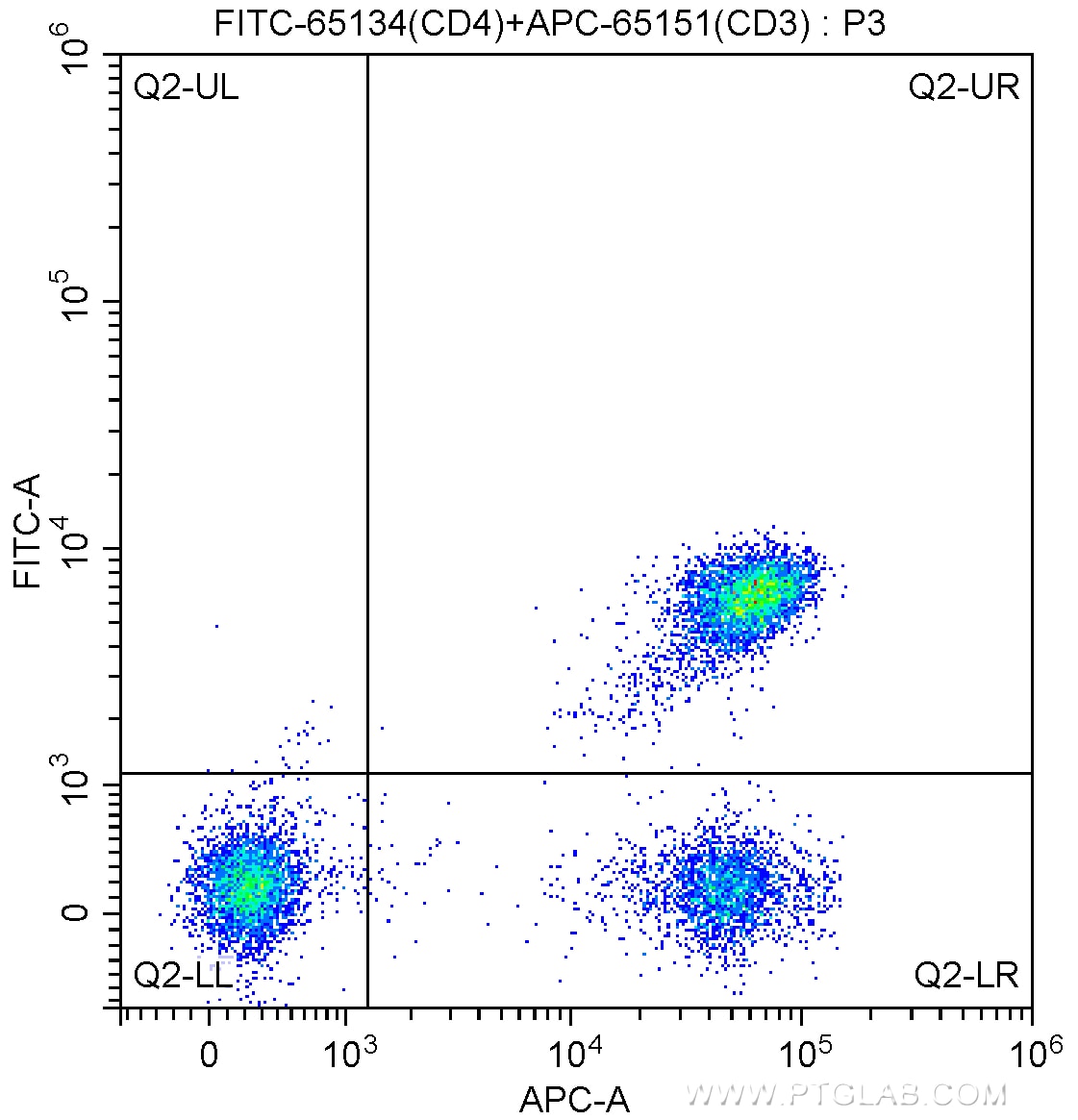CD4 antibody (FITC-65134) | Proteintech