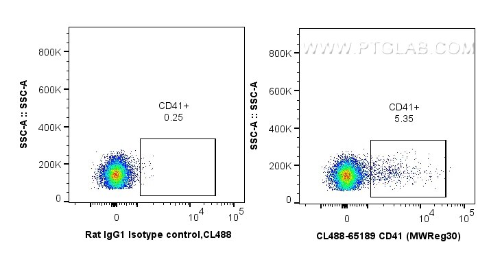 CD41 antibody (CL488-65189) | Proteintech