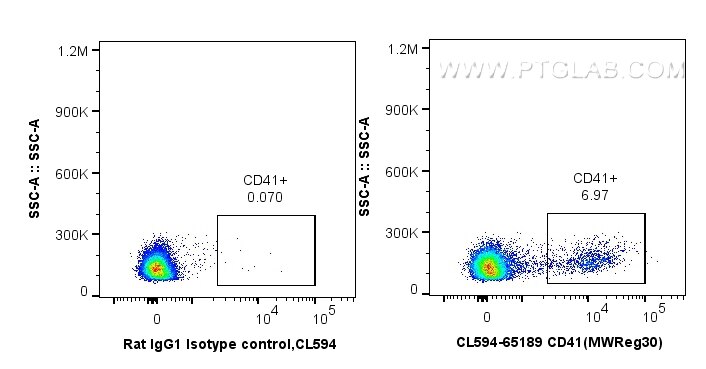 CD41 antibody (CL594-65189) | Proteintech