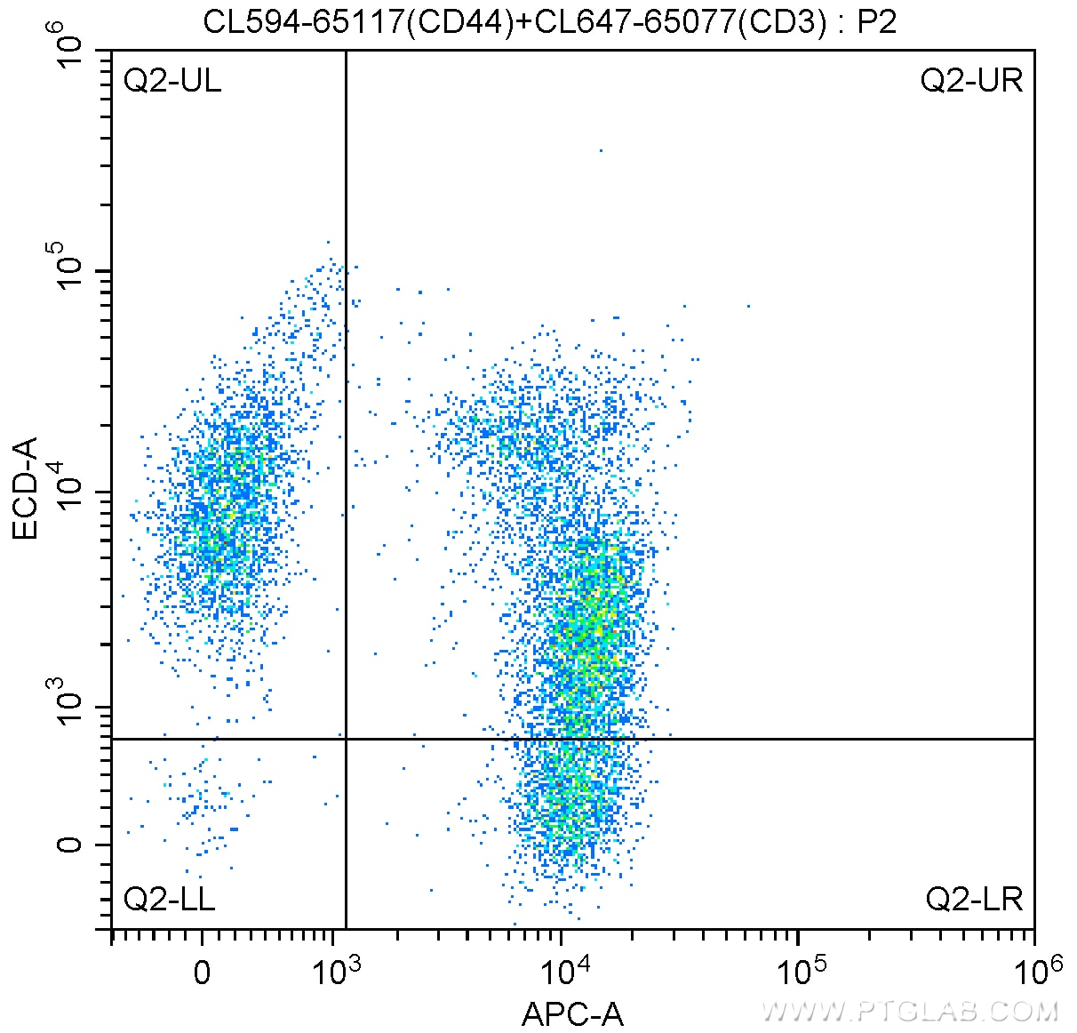 CD44 antibody (CL594-65117) | Proteintech