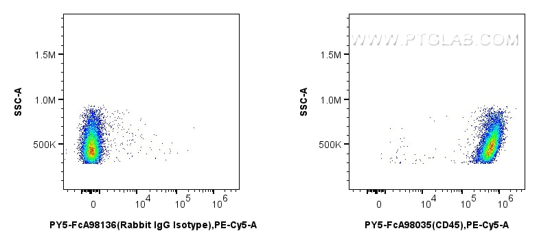 CD45 antibody (PY5-FcA98035) | Proteintech