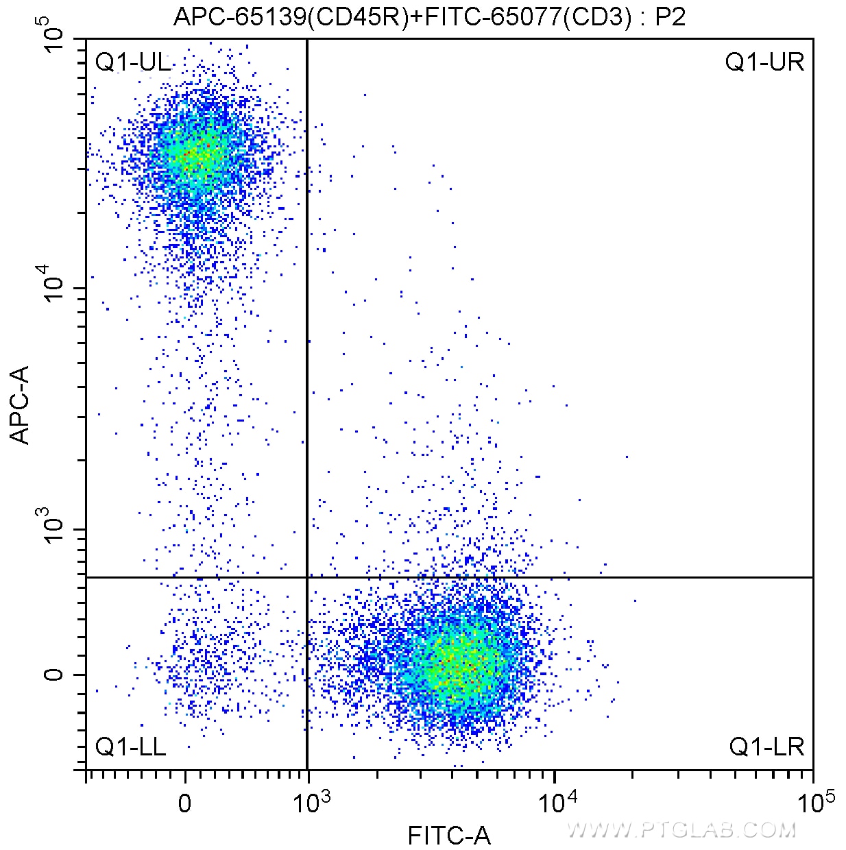 APC CD45R (B220) Rat Monoclonal antibody - United Bio Research