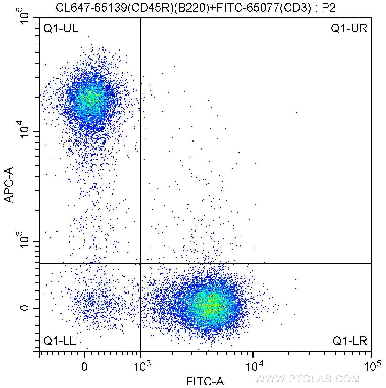 CD45R (B220) antibody (CL647-65139) | Proteintech