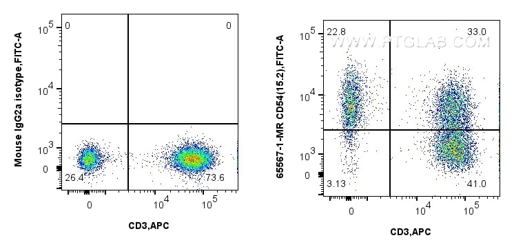 CD54 antibody (65567-1-MR) | Proteintech
