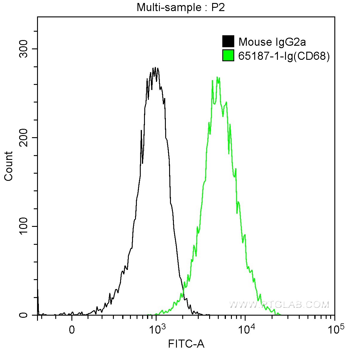CD68 antibody (65187-1-Ig) | Proteintech