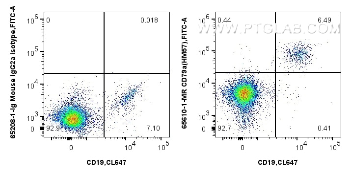 CD79a antibody (65610-1-MR) | Proteintech