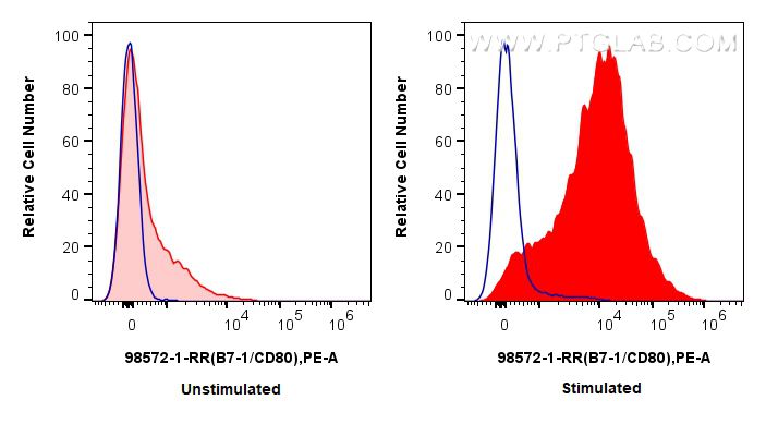 CD80 antibody (98572-1-RR) | Proteintech
