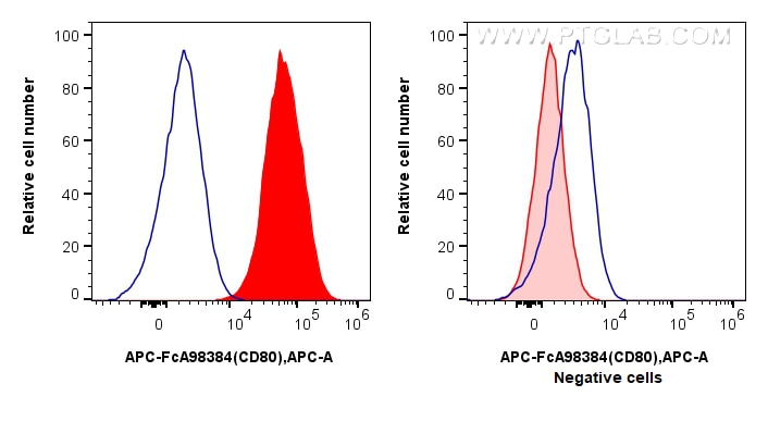 CD80 antibody (APC-FcA98384) | Proteintech