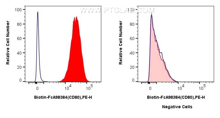 CD80 antibody (Biotin-FcA98384) | Proteintech
