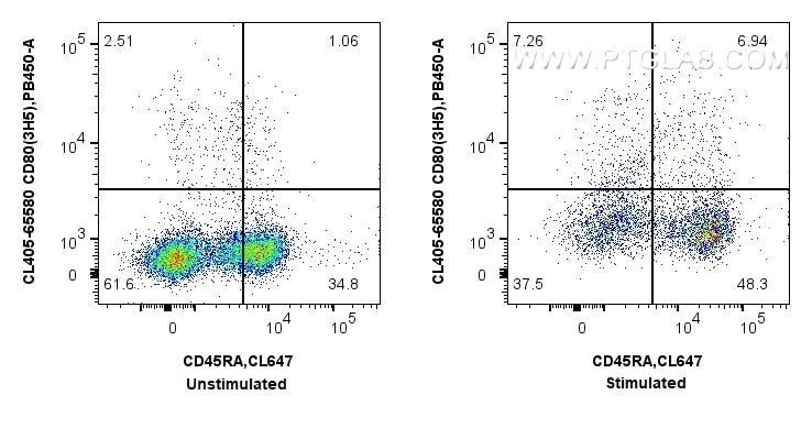CD80 antibody (CL405-65580) | Proteintech