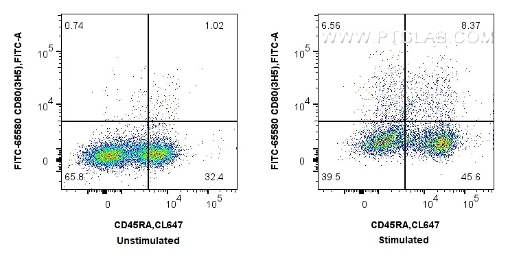 CD80 antibody (FITC-65580) | Proteintech