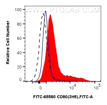 CD80 antibody (FITC-65580) | Proteintech