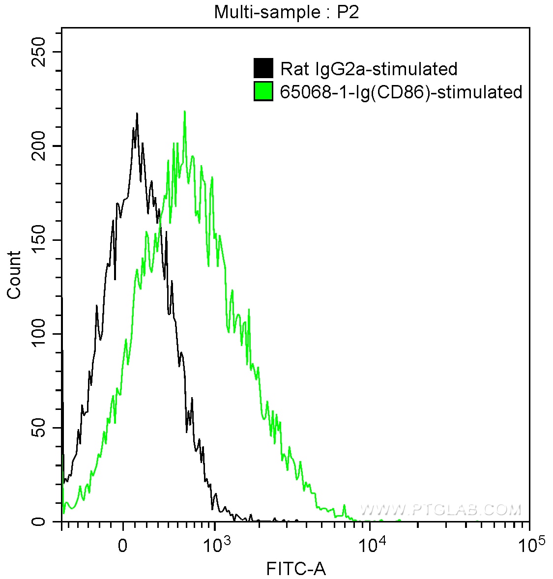 CD86 antibody (65068-1-Ig) | Proteintech