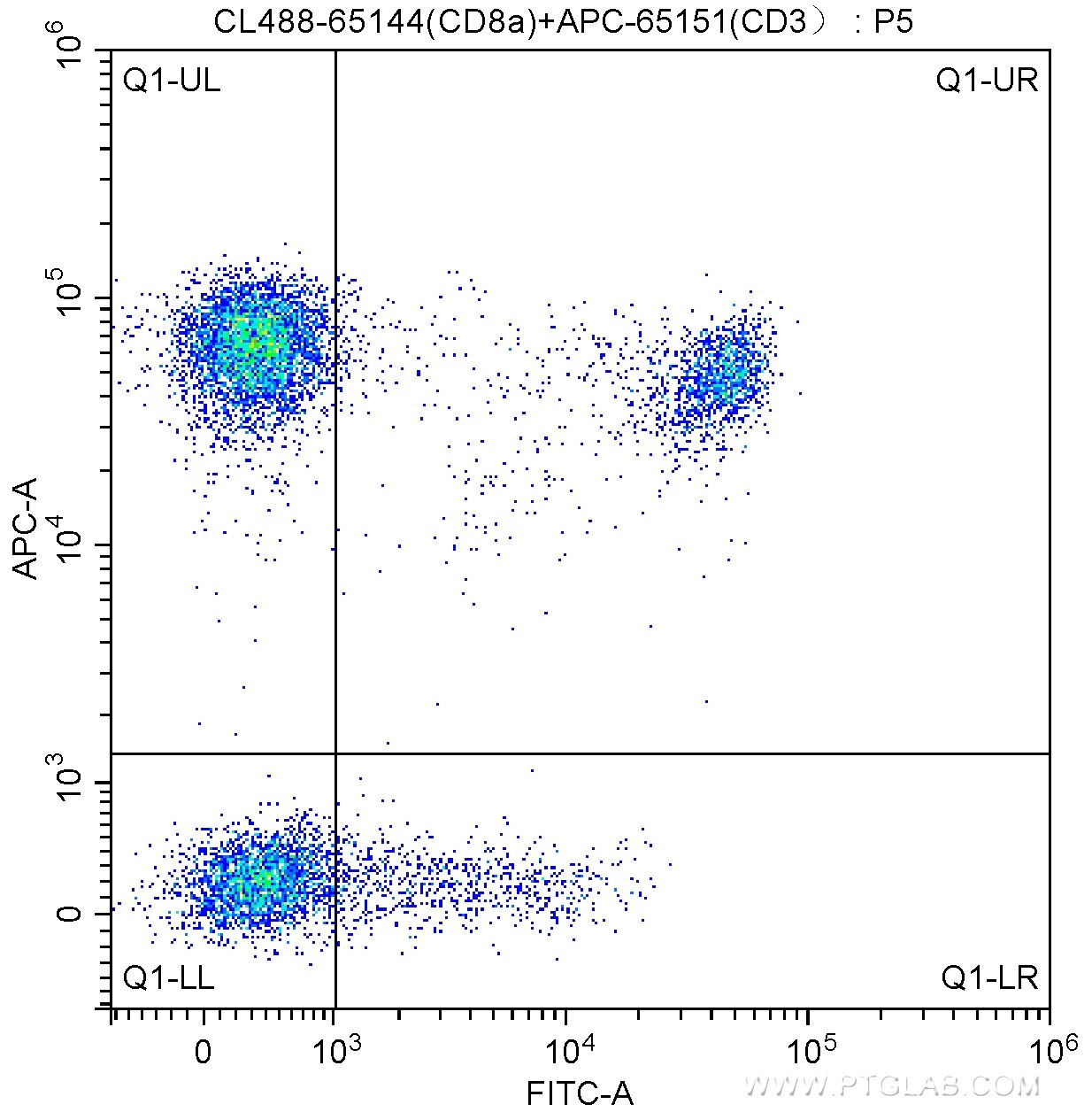 CD8a antibody (CL488-65144) | Proteintech