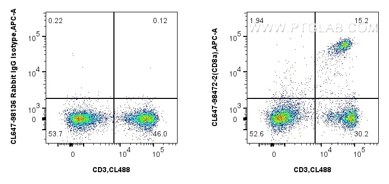 CD8a antibody (CL647-98472-2) | Proteintech
