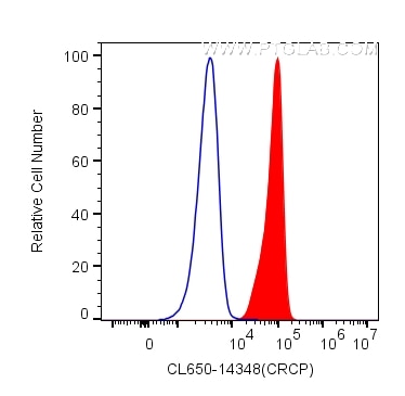 CRCP Fusion Protein Ag5689 | Proteintech