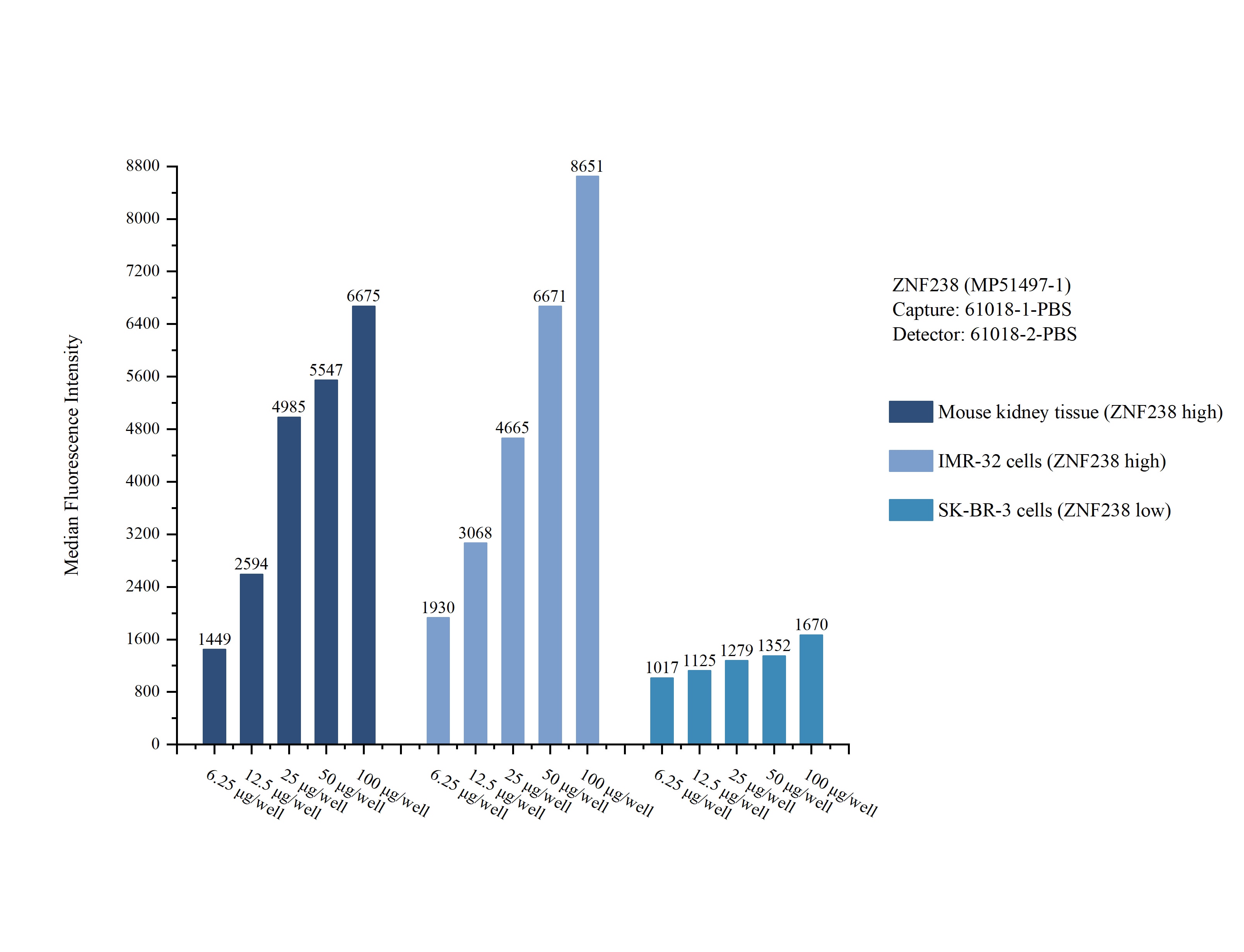 ZNF238 Monoclonal Matched Antibody Pair, PBS Only antibody (MP51497-1 ...