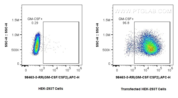 GM-CSF antibody (98463-3-PBS) | Proteintech