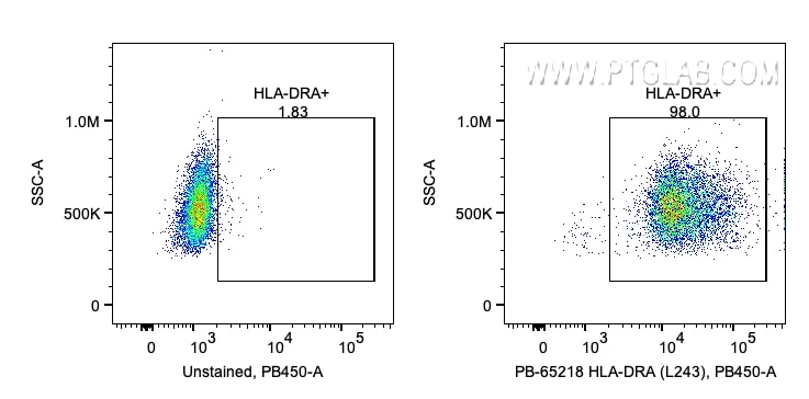 HLA-DRA Fusion Protein Ag11224 | Proteintech