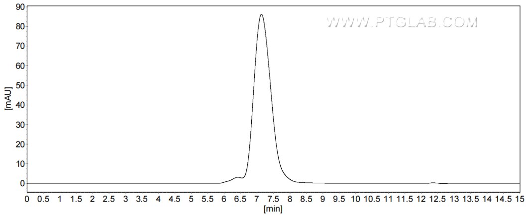 Recombinant Human CD24 protein (rFc Tag)(HPLC verified) | Proteintech